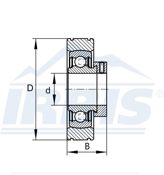PE 20_INA - Корпусной подшипник