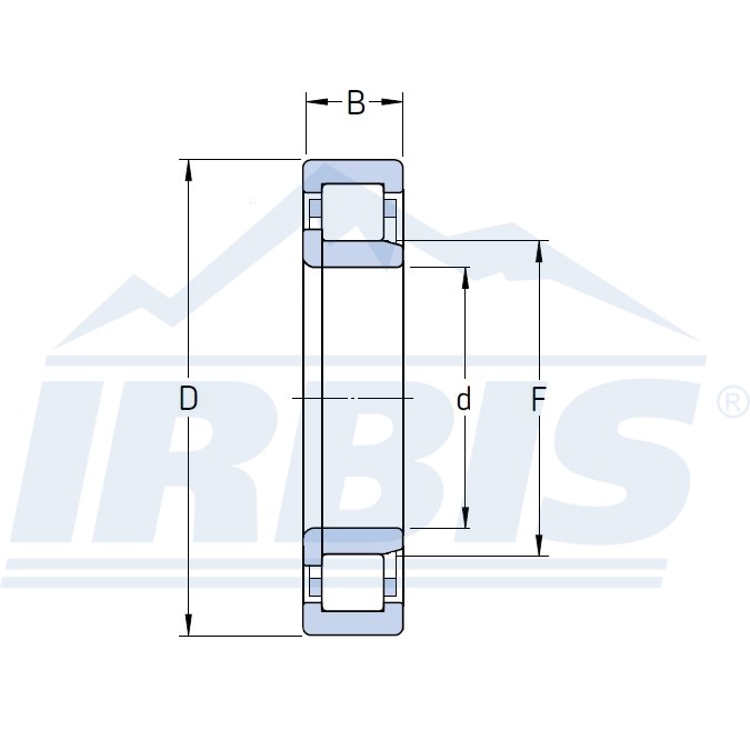 BC1-0312 (SKF) Подшипник роликовый цилиндрический радиальный